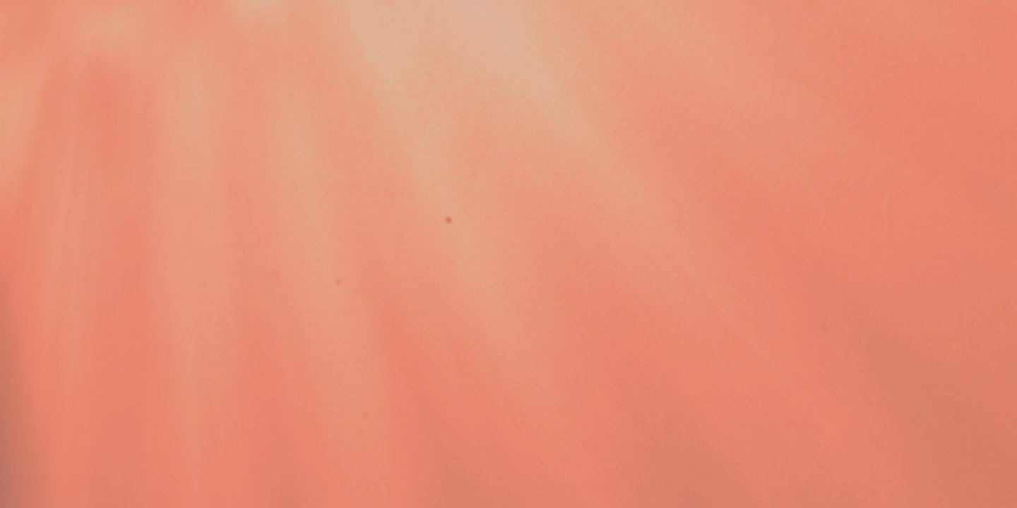 Luana Rose. Trauma Healing & Relationship Coaching For Couples