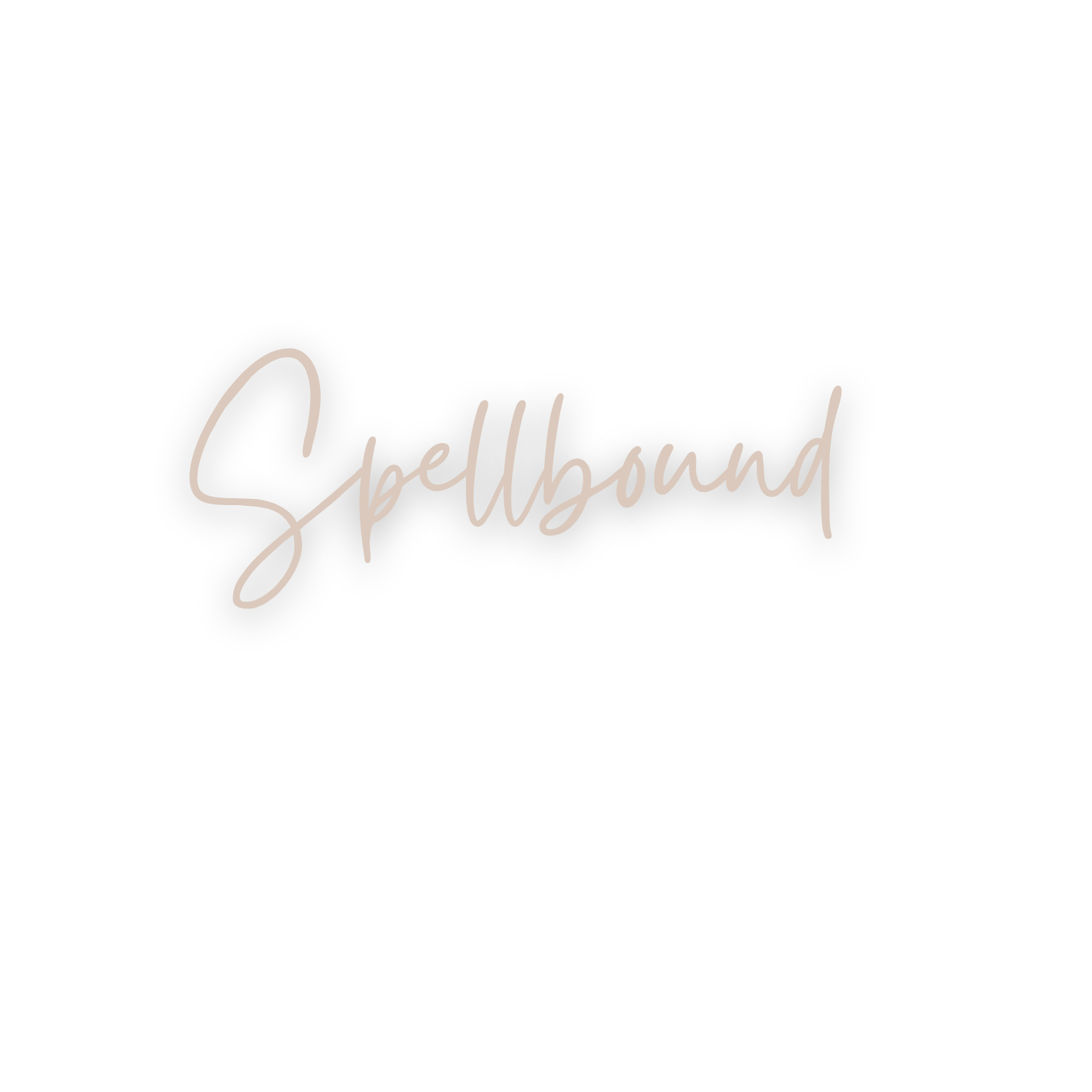 Charleston Wedding Content Creator - Wedding Content Creation Service ...