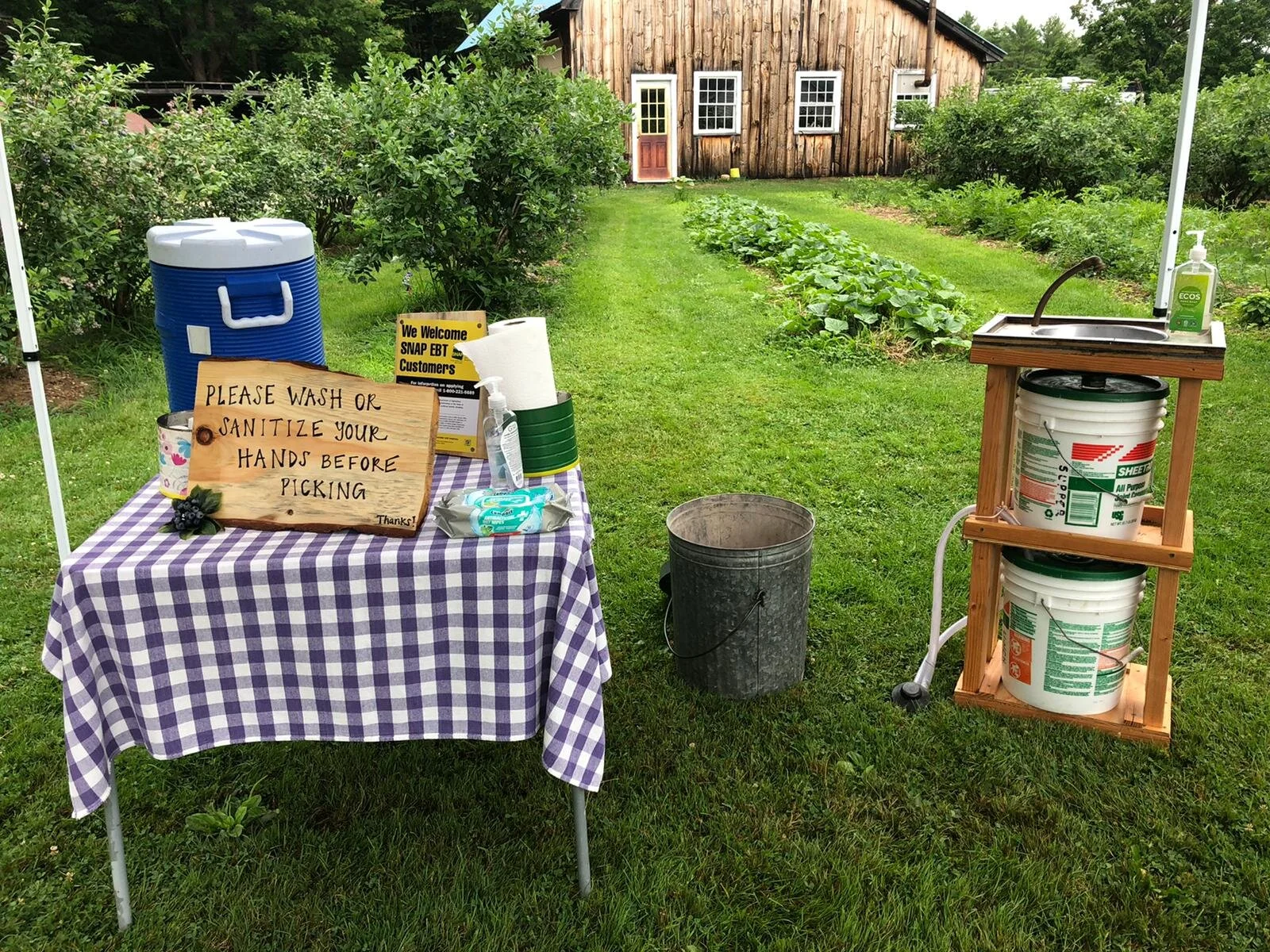 Pick Your Own — Bartlett's Blueberry Farm