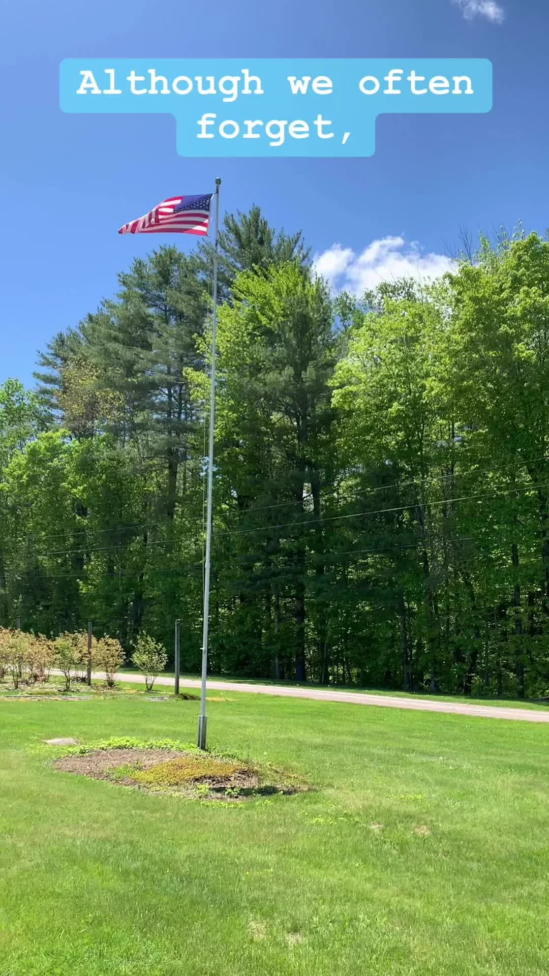 Bartlett's Blueberry Farm