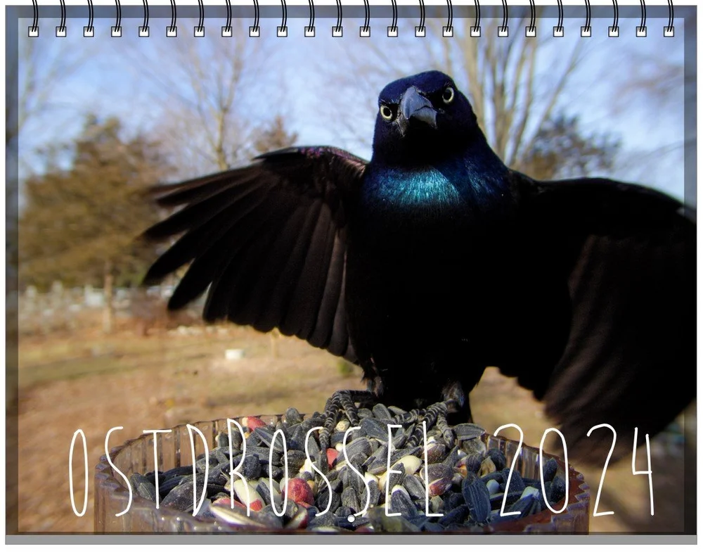 Ostdrossel™