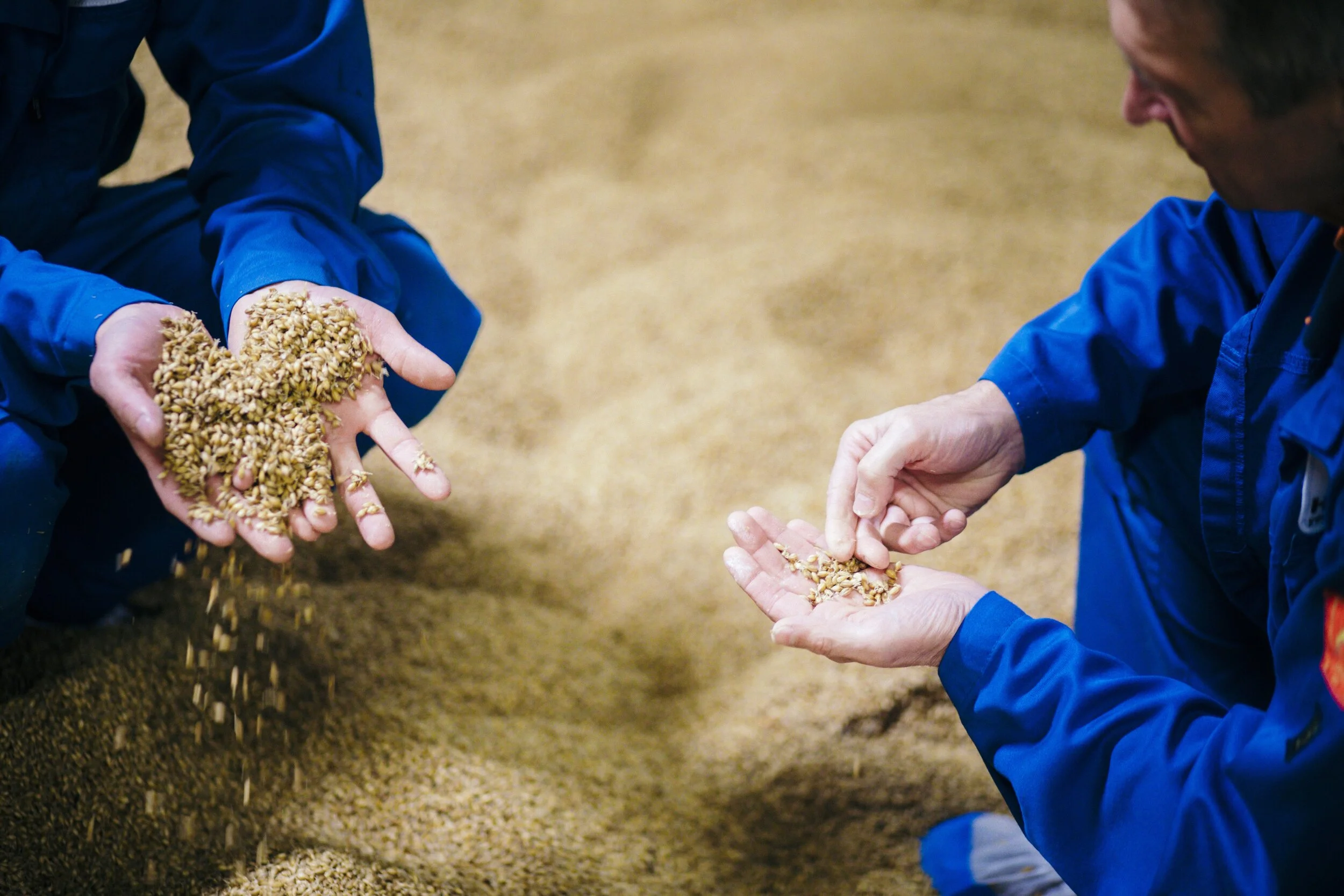 Malt Types — Holland Malt USA