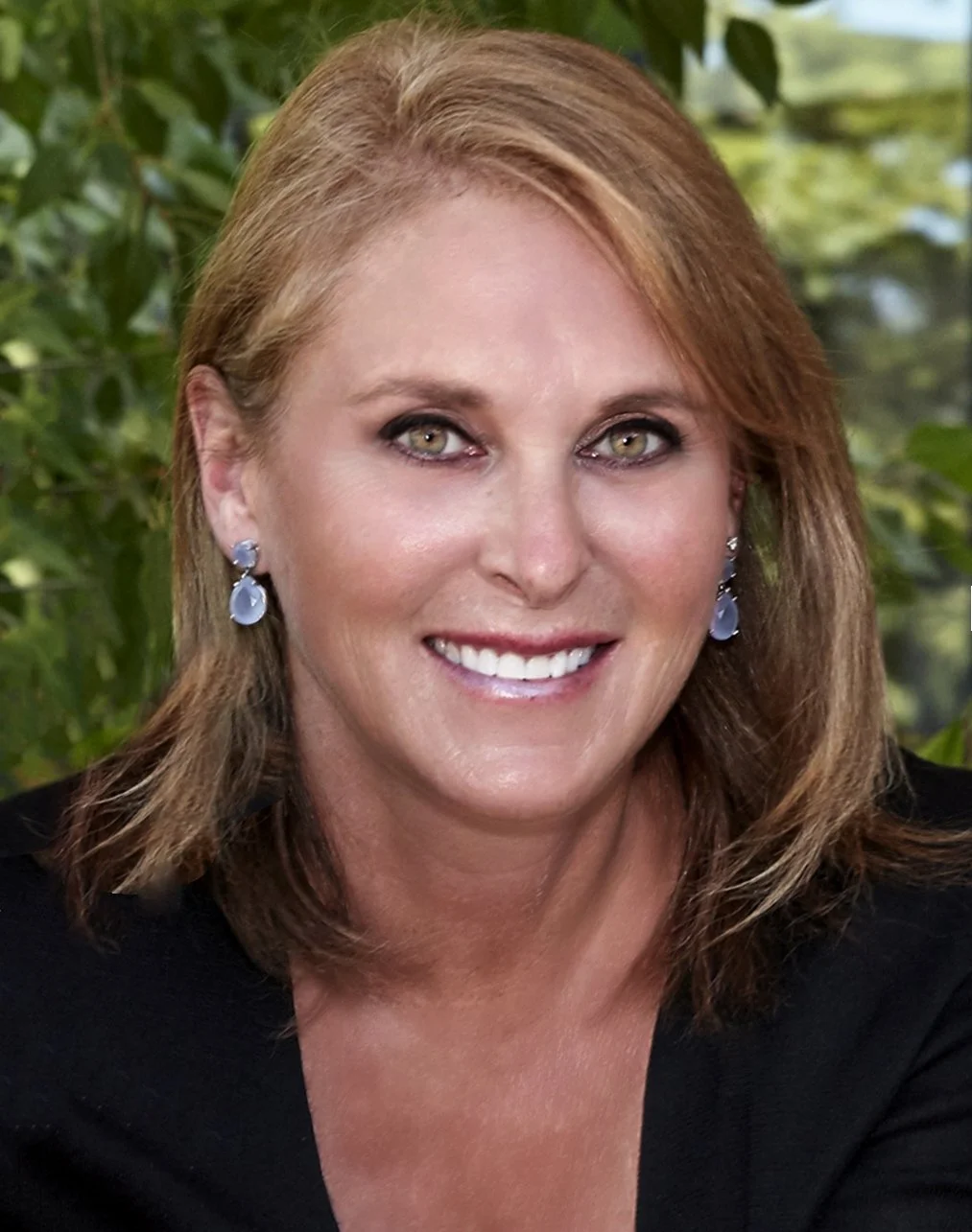 Lincoln Presidential Foundation’s Lincoln Leadership Prize — PJH ...
