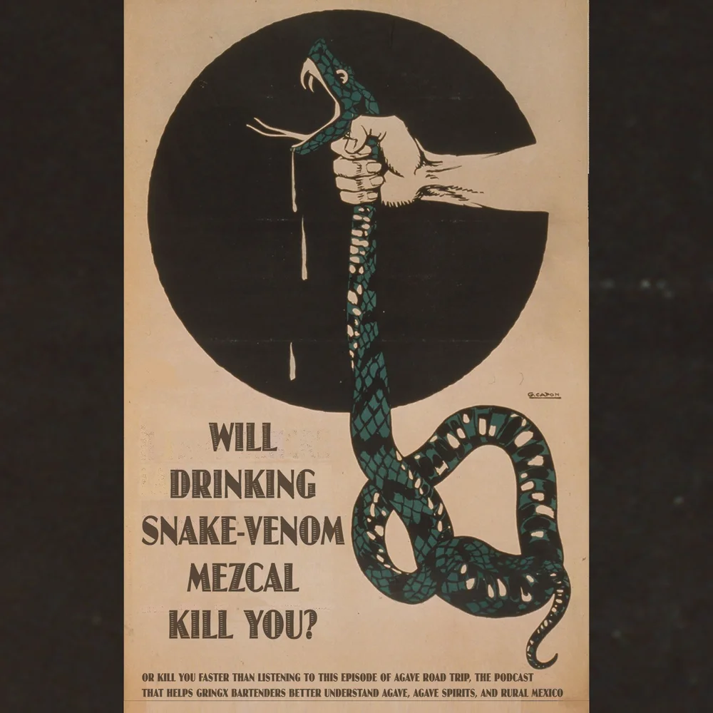 Will drinking snake-venom mezcal kill you? — Agave Road Trip