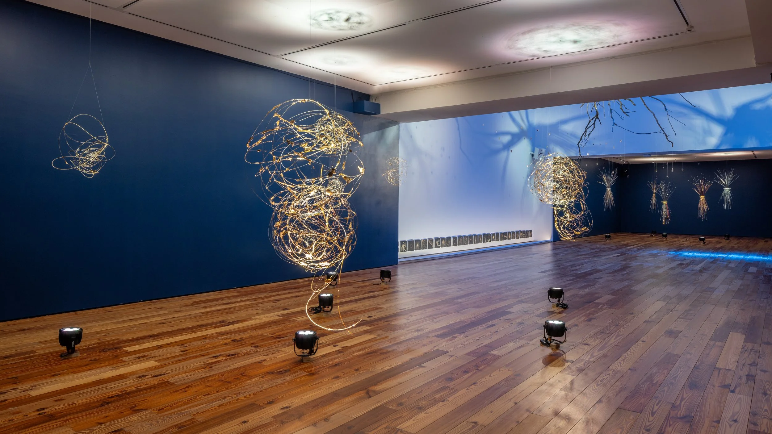 Anne Patterson Studio