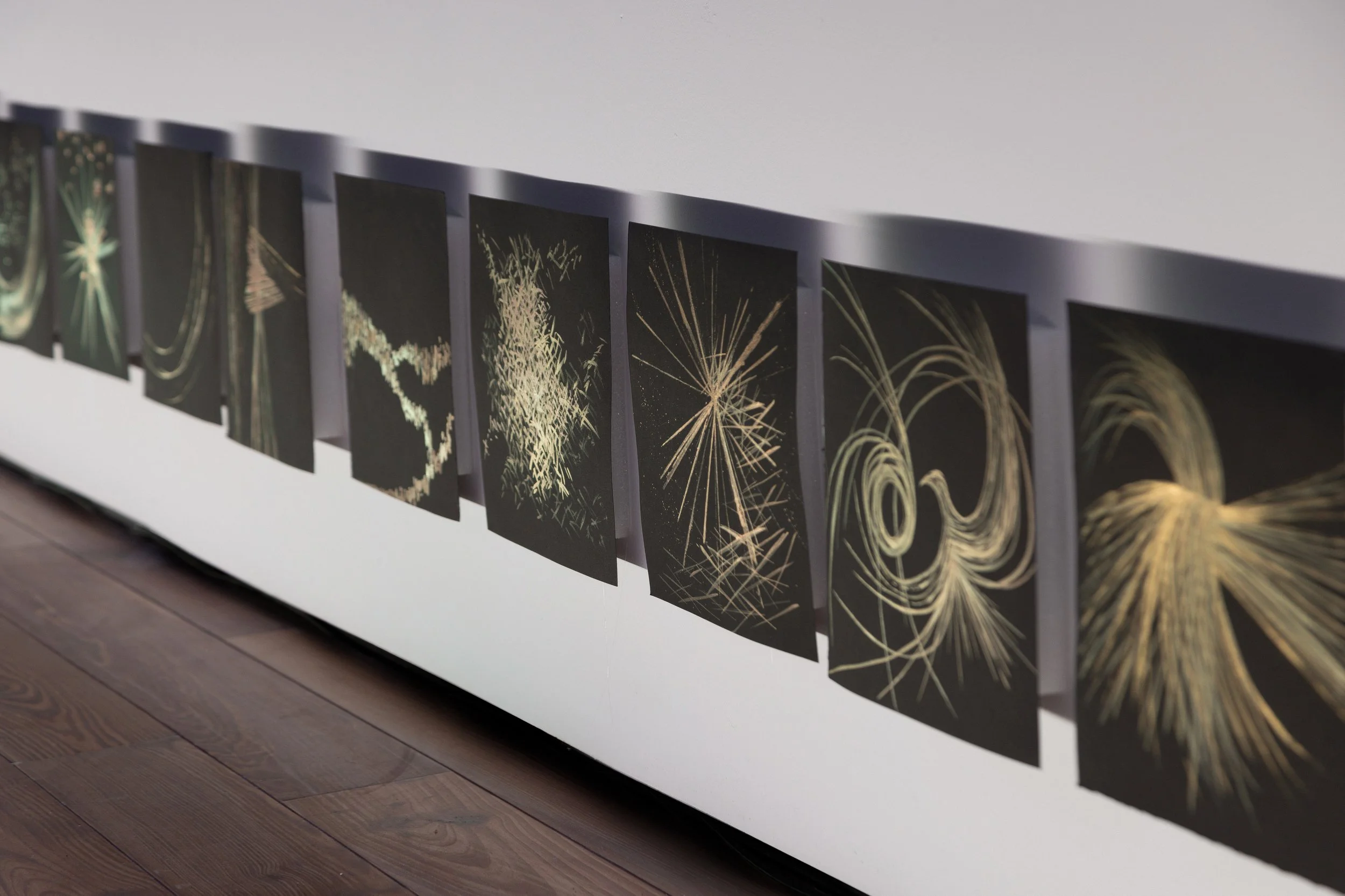 Anne Patterson Studio