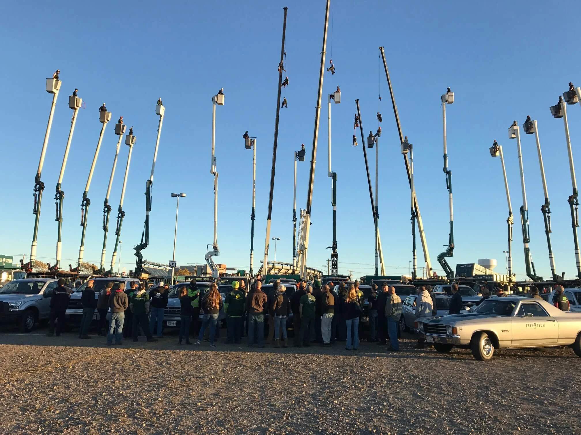 See Us In Action | Tree Tech, Inc.