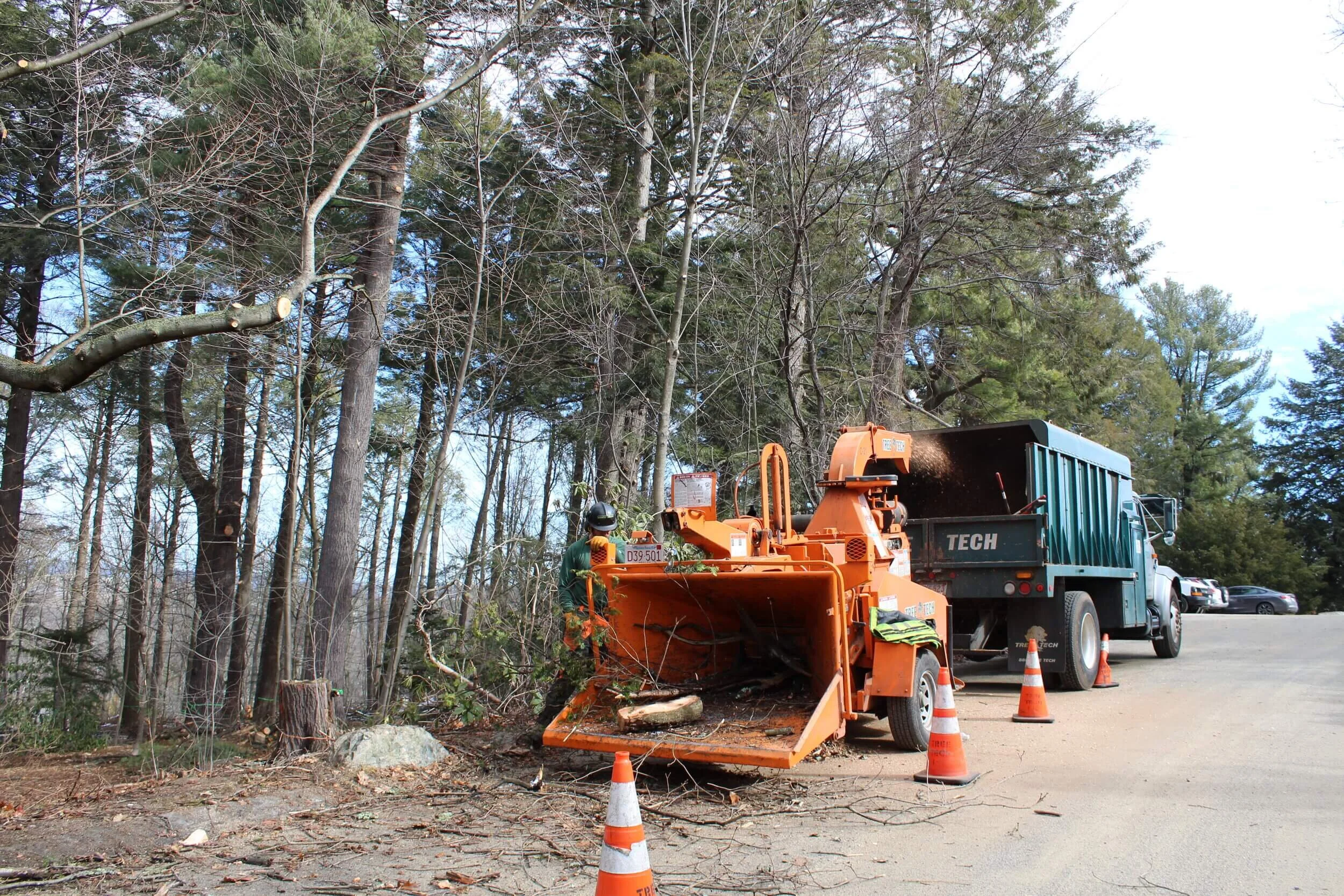 See Us In Action | Tree Tech, Inc.