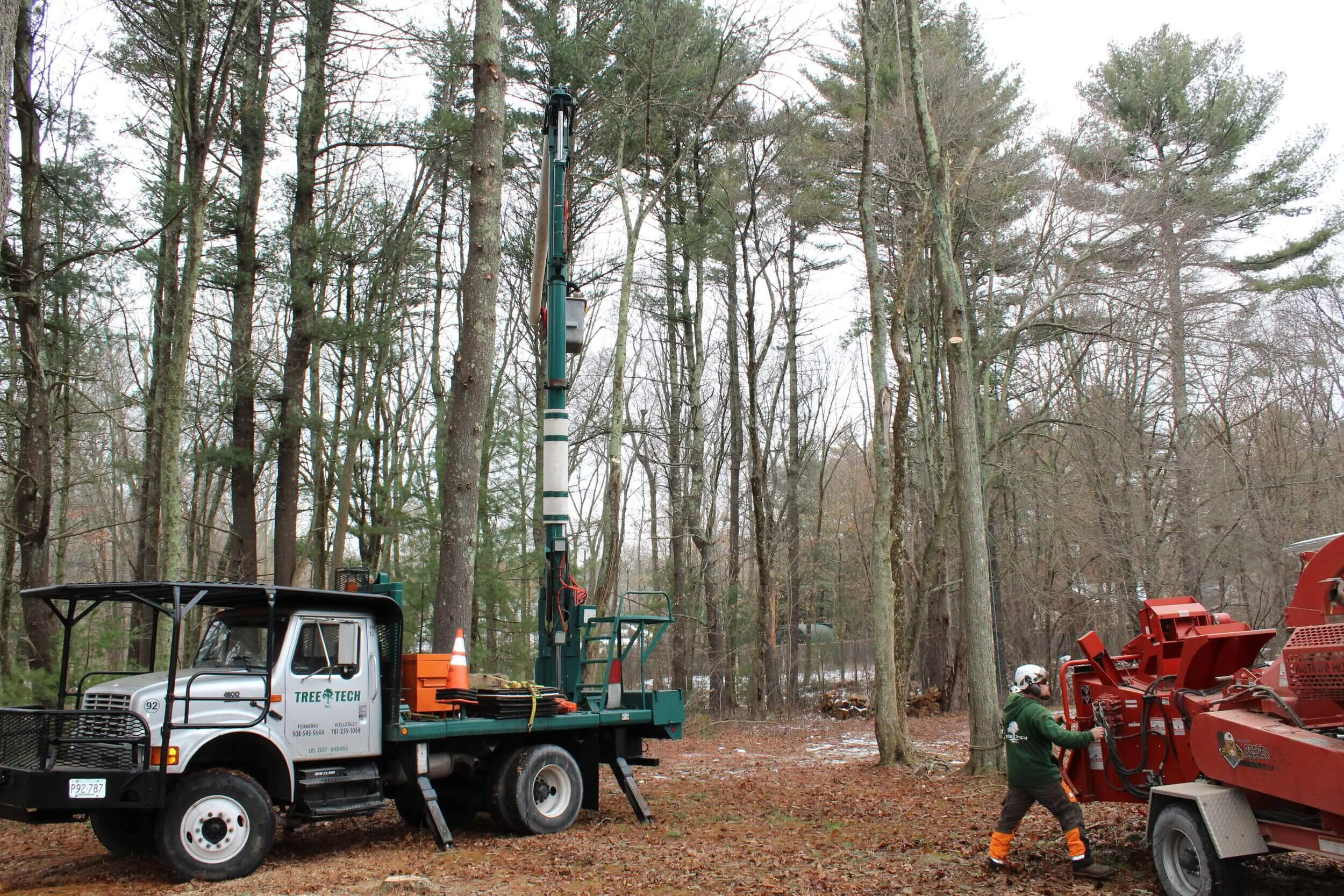 See Us In Action | Tree Tech, Inc.