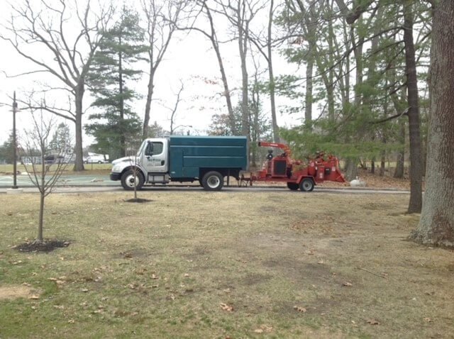 See Us In Action | Tree Tech, Inc.