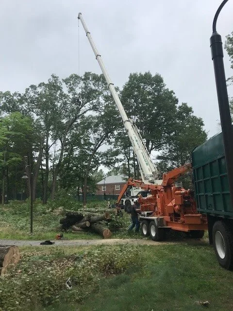 See Us In Action | Tree Tech, Inc.