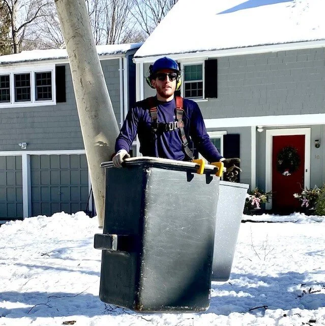 See Us In Action | Tree Tech, Inc.