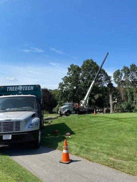 See Us In Action | Tree Tech, Inc.