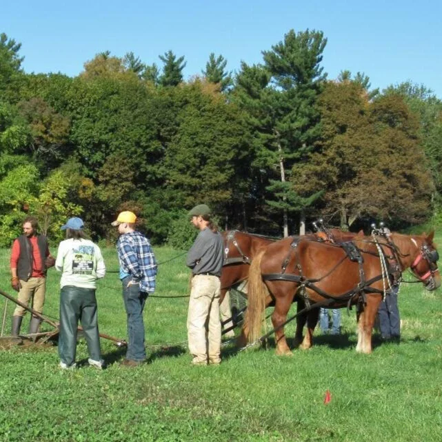 Draft Animal Power Network