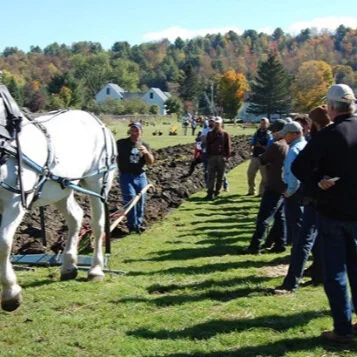 Draft Animal Power Network