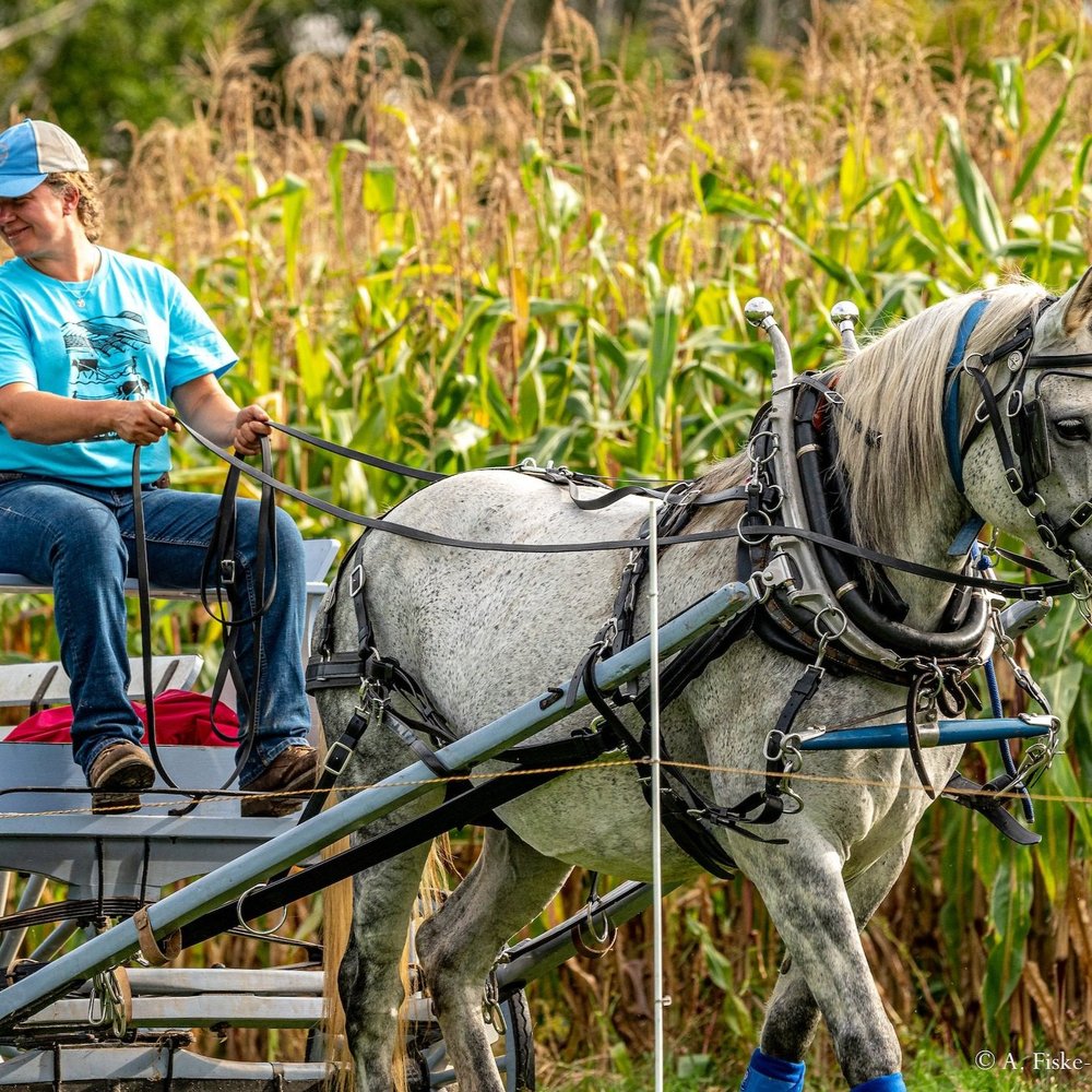 Draft Animal Power Network