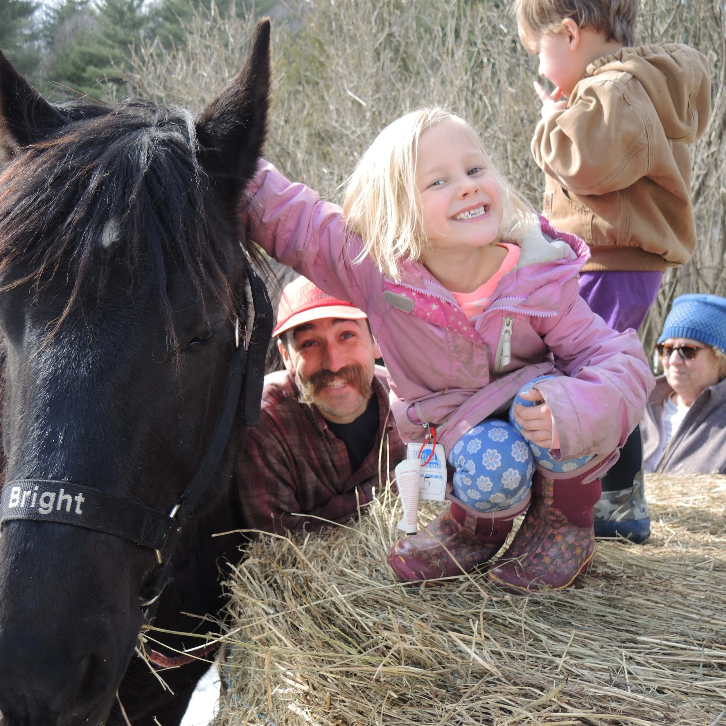 Draft Animal Power Network