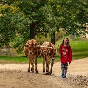 Draft Animal Power Network