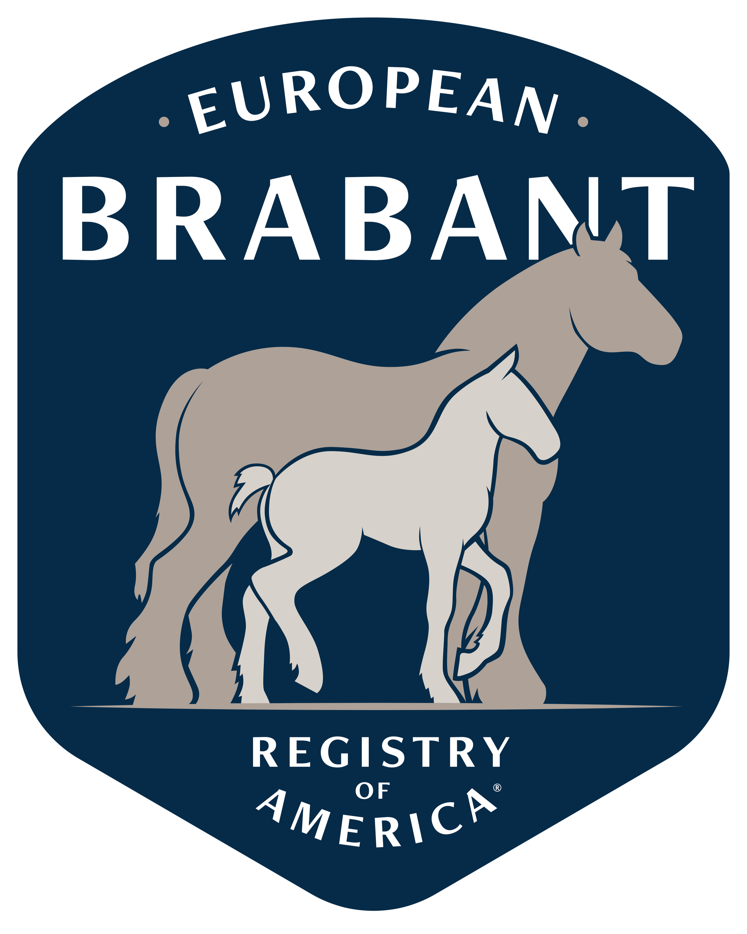 Draft Animal Power Network