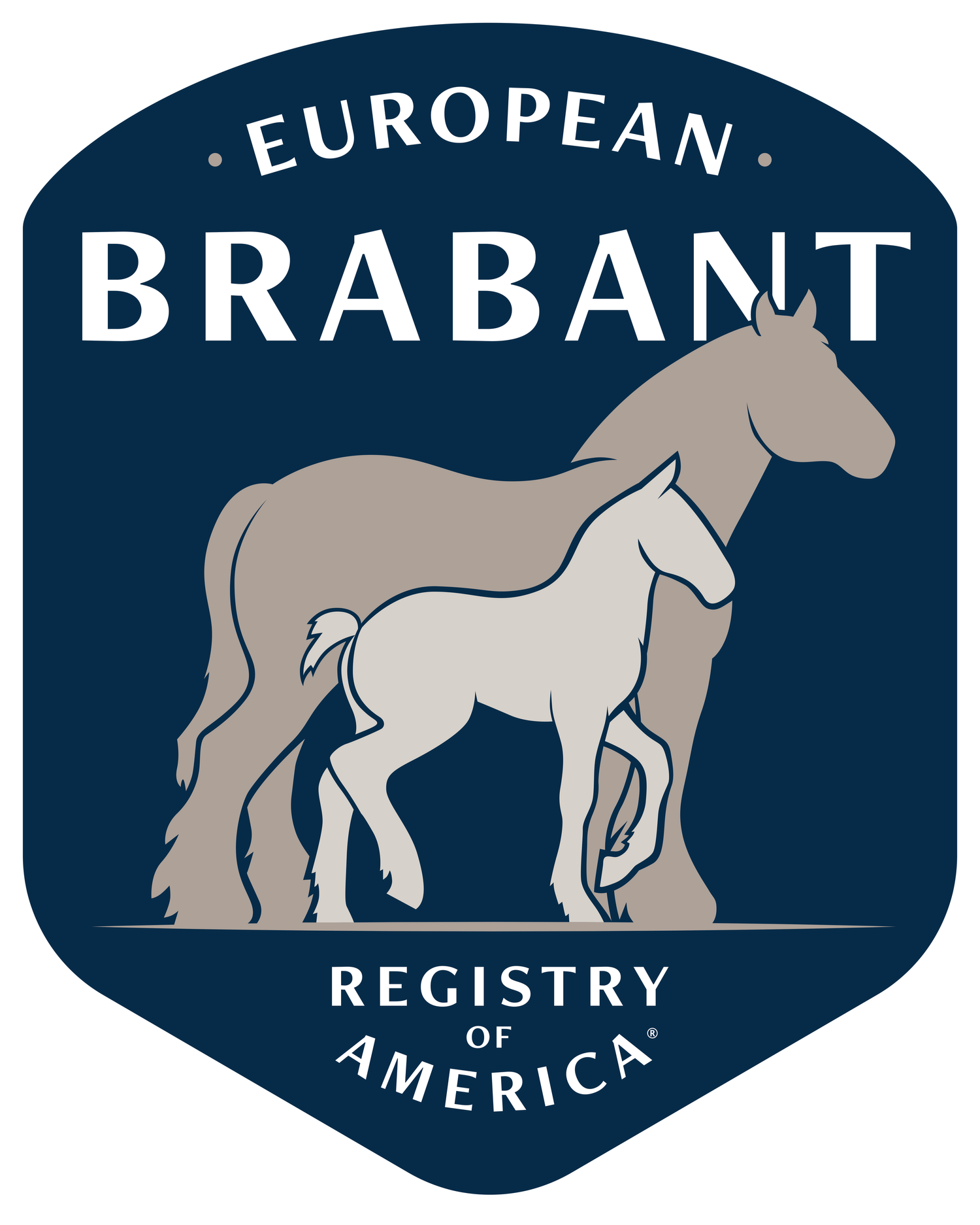 Draft Animal Power Network