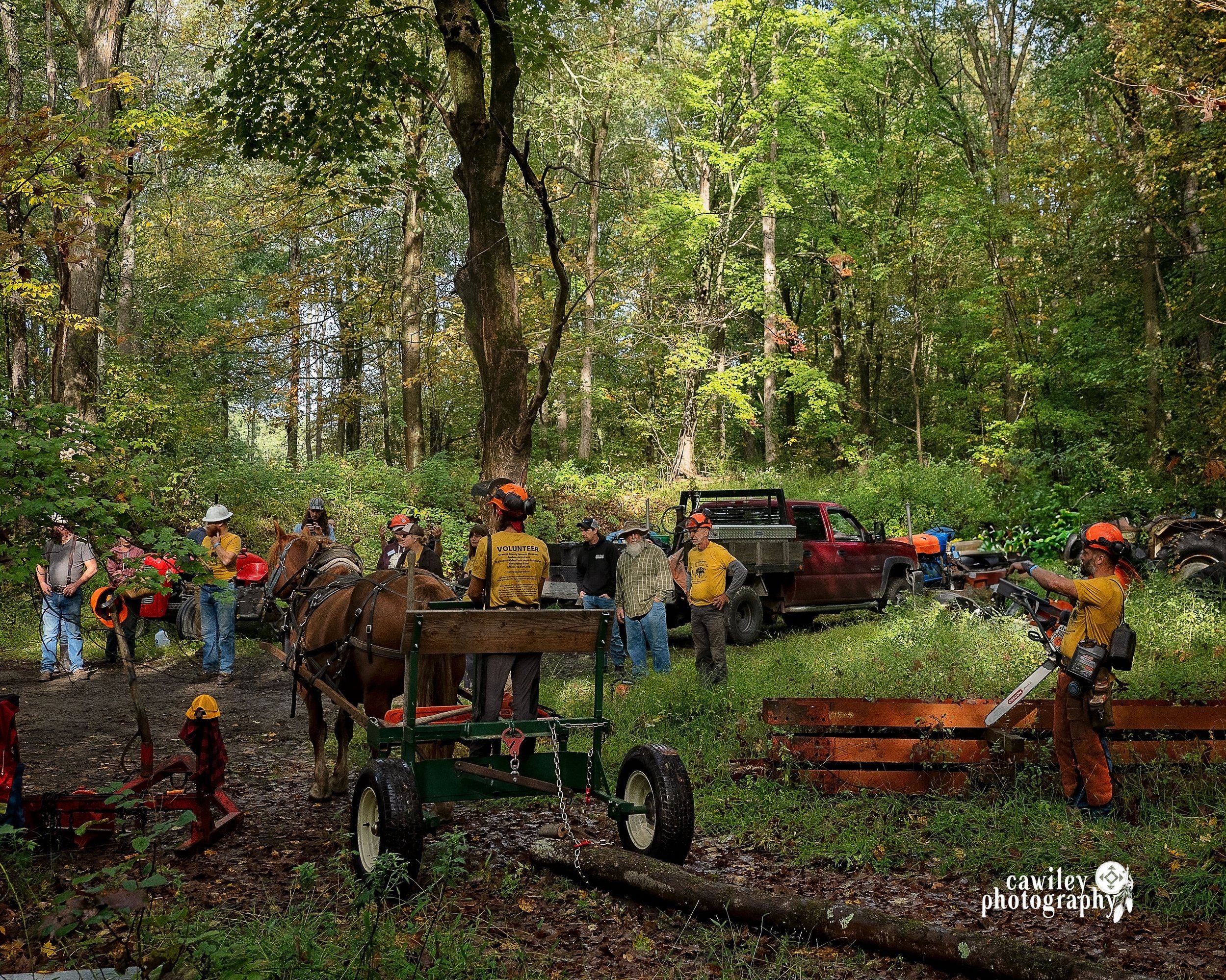 Draft Animal Power Network