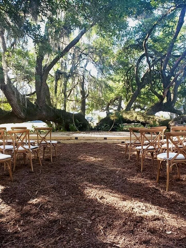 The Broken Oak: Oak Tree Wedding Venue in Florida