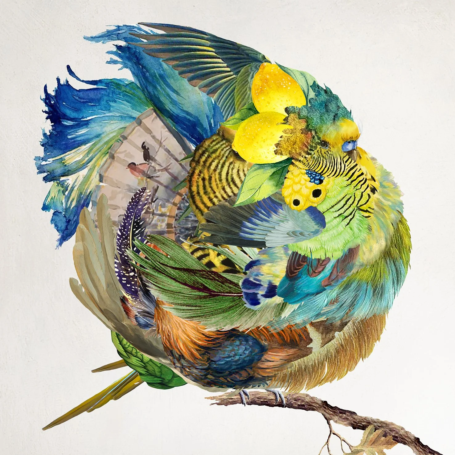 Everything In Its Right Place — Rosco Brittin - Artist & Inventor of ...
