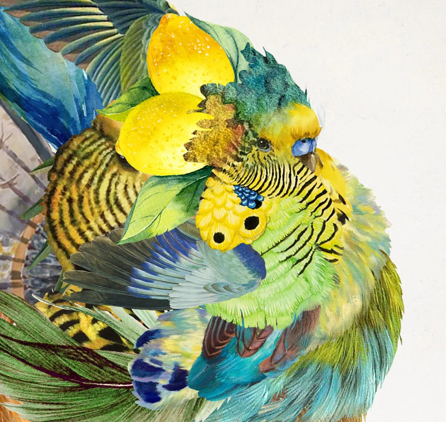 Everything In Its Right Place — Rosco Brittin - Artist & Inventor of ...