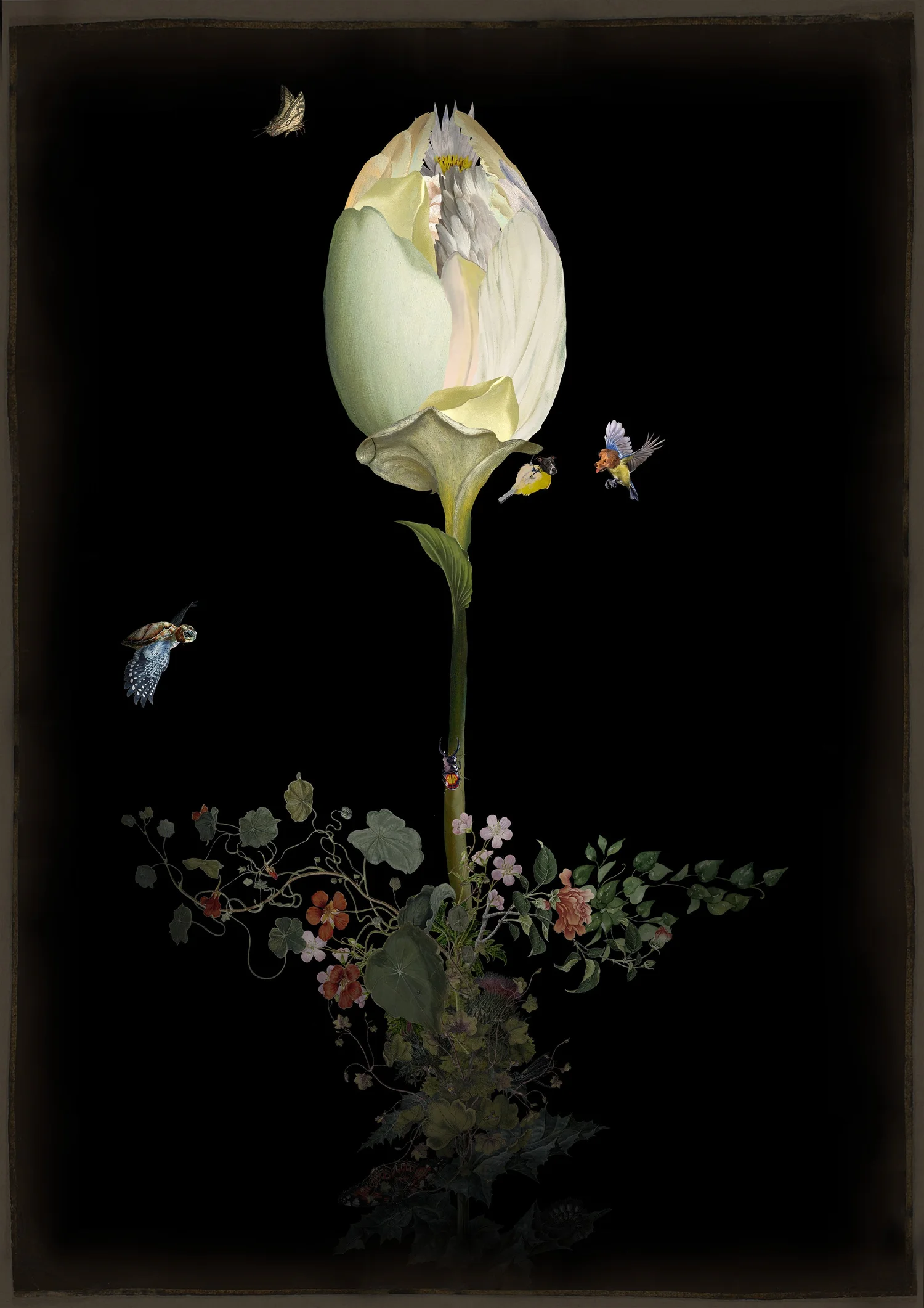 To Bring You My Love — Rosco Brittin - Artist & Inventor of the Drawing