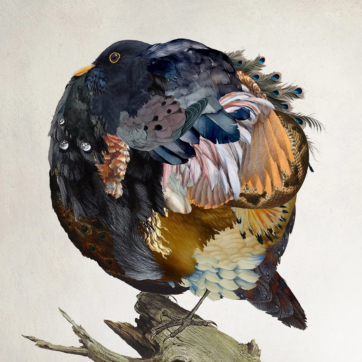 Everything In Its Right Place — Rosco Brittin - Artist & Inventor of ...