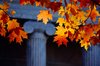 Your Ivy League Application Journey: A Step-by-Step Guide — U2 Tuition