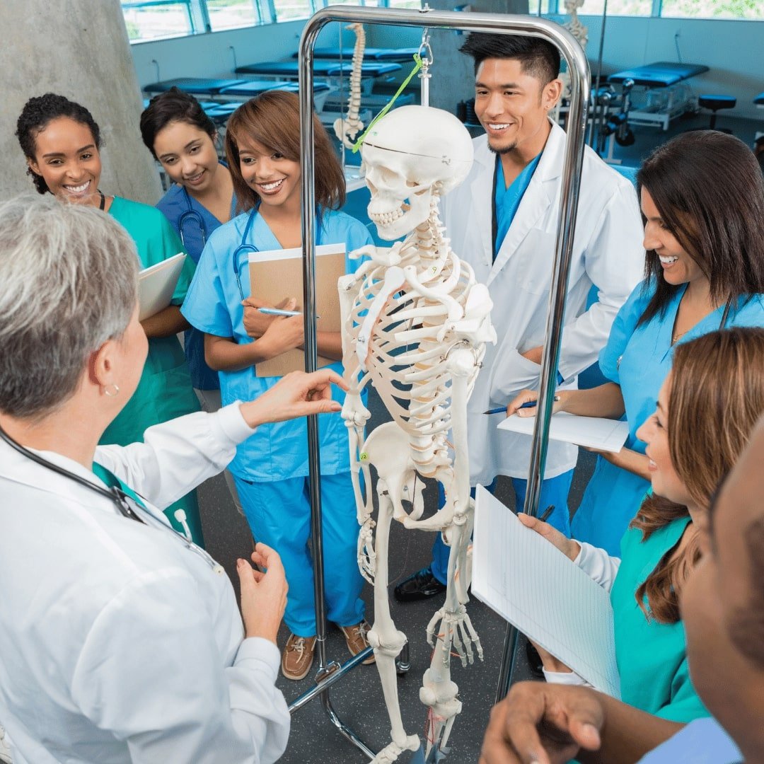 Medical School Entry, Application & Admissions Tutoring — U2 Tuition