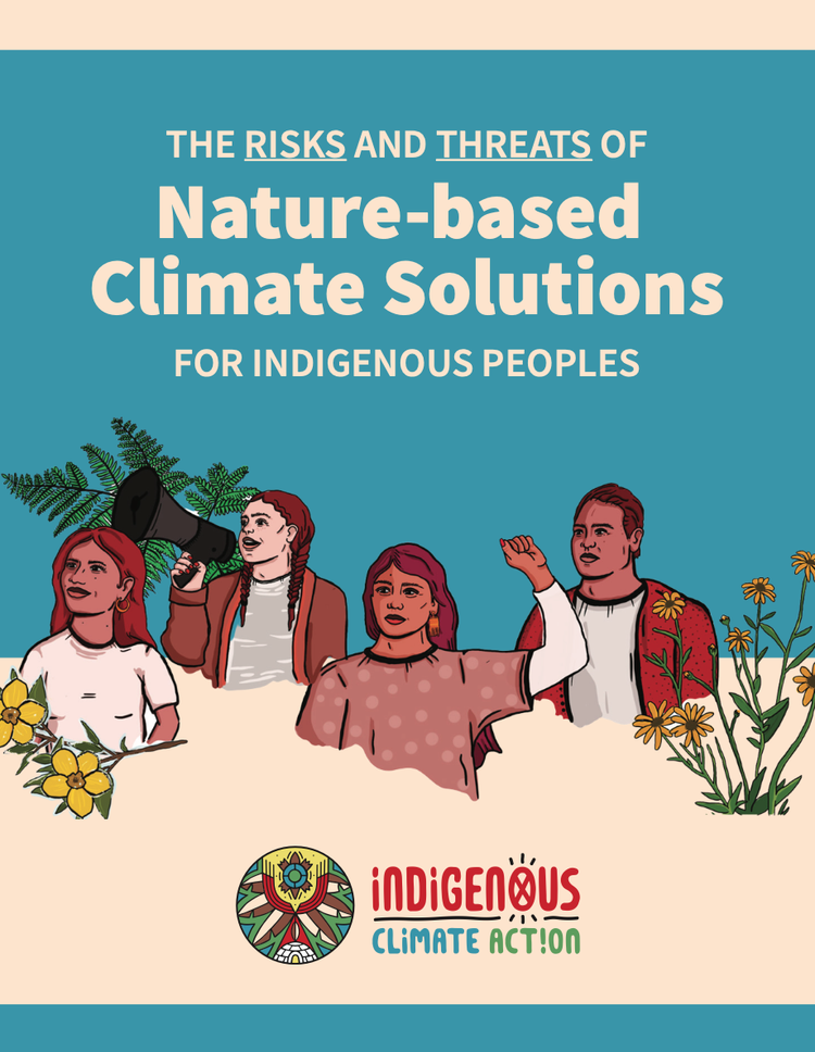 Decolonizing Climate Policy — Indigenous Climate Action
