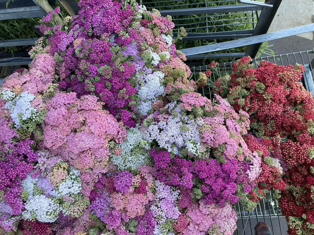 Workshops and Classes — Charles Little and Company LLC