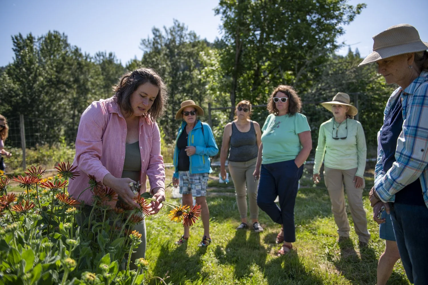 Workshops and Classes — Charles Little and Company LLC