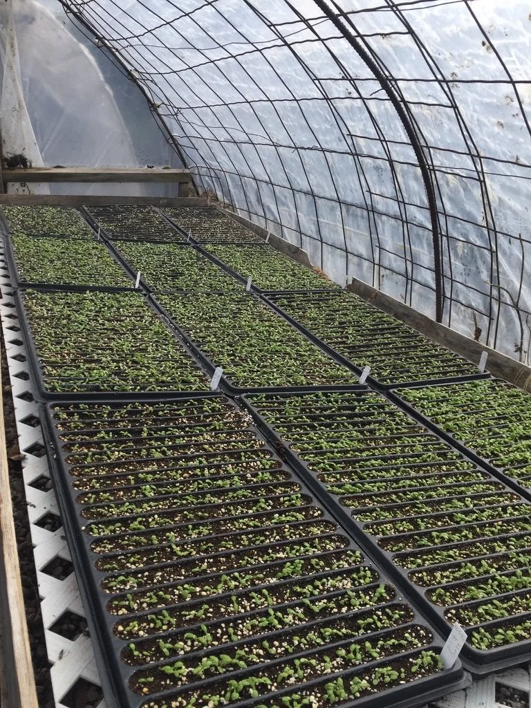 Workshops and Classes — Charles Little and Company LLC