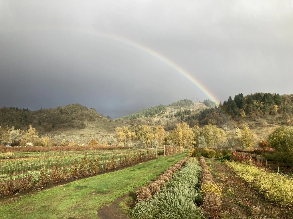 Charles Little and Company LLC