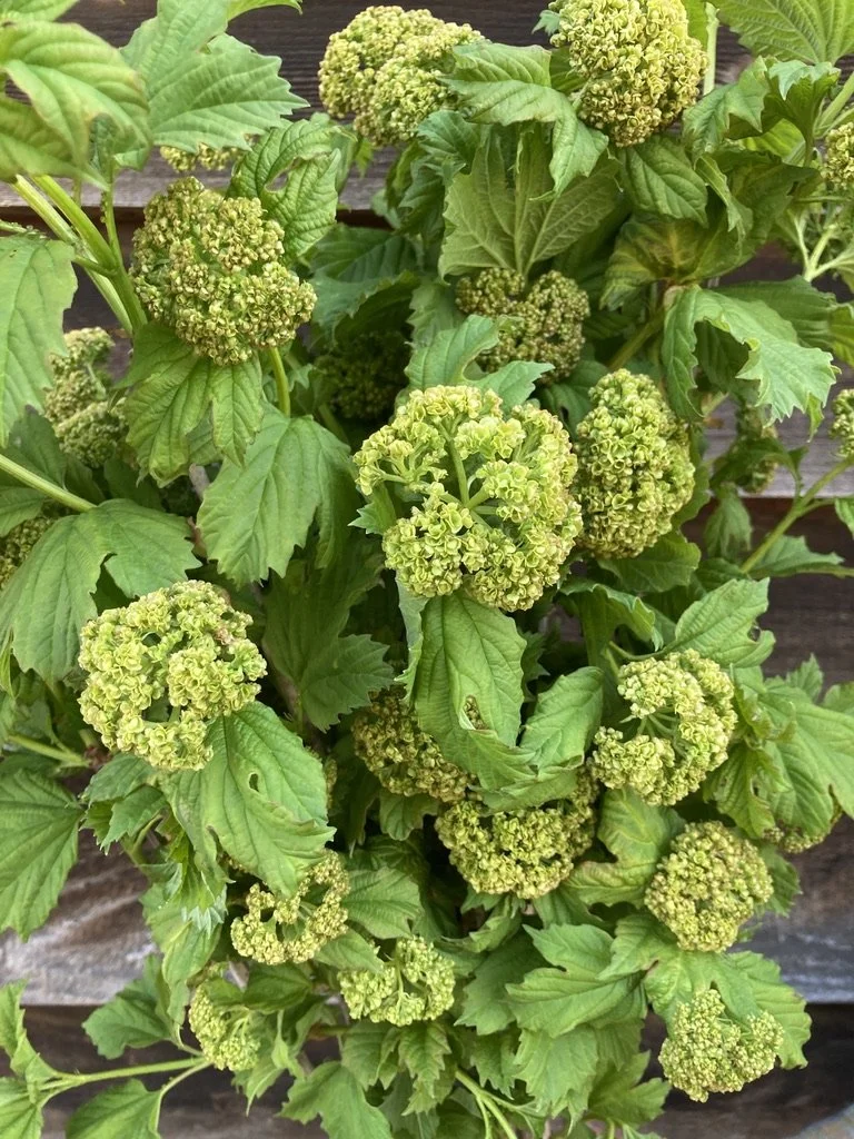 Charles Little and Company LLC