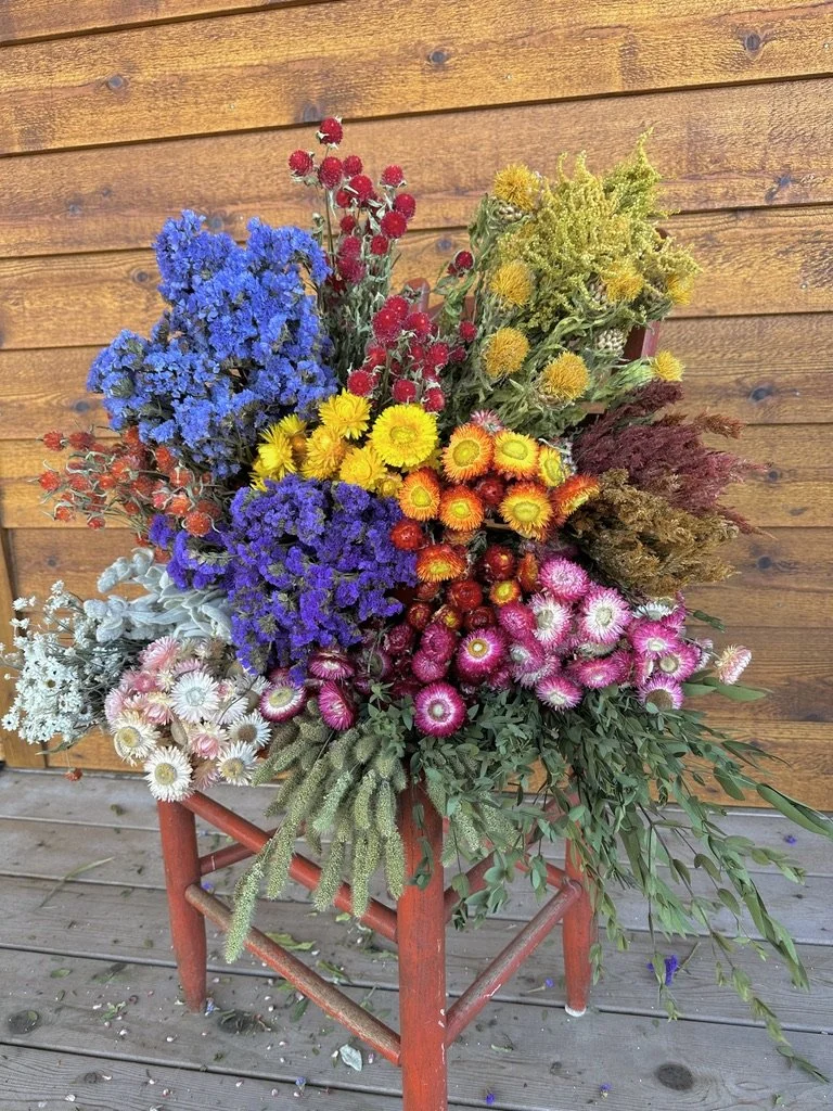Dried Flowers — Charles Little and Company LLC