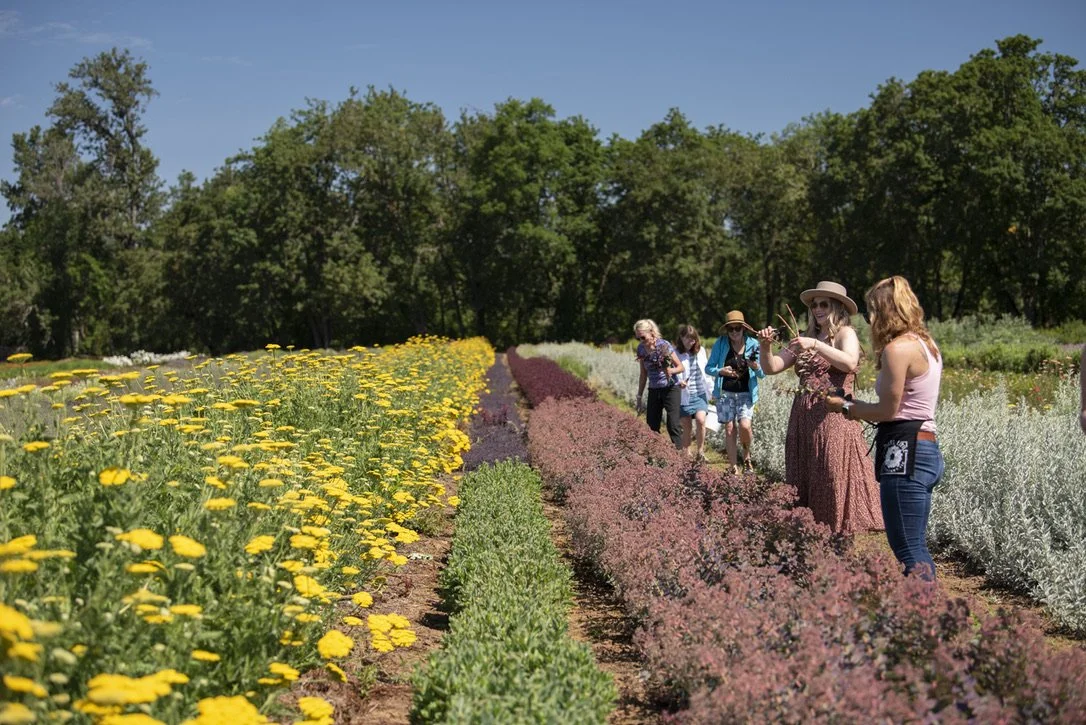 Charles Little and Company LLC