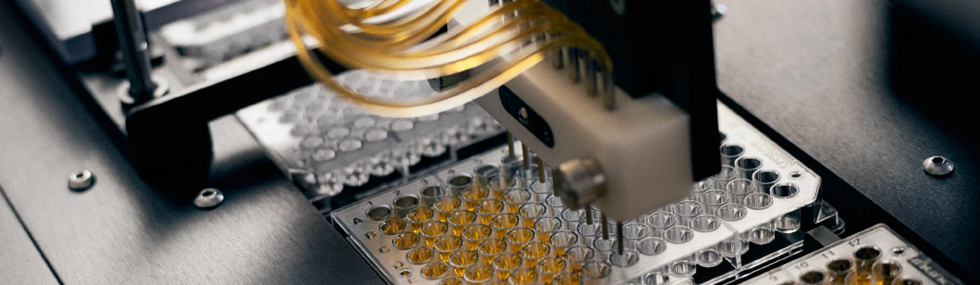 ELISA Reagents — AsureQuality Diagnostics