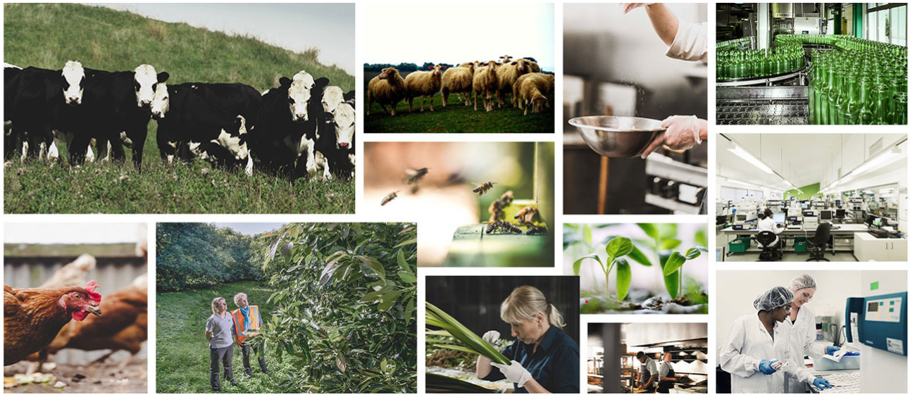 AsureQuality Diagnostics