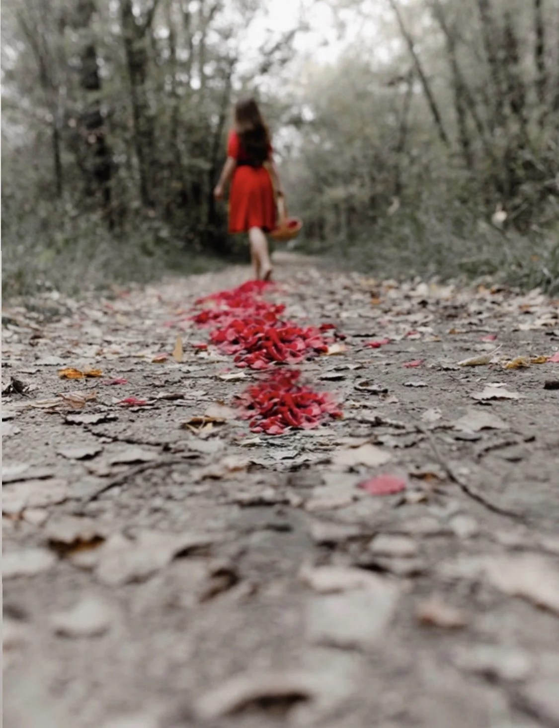 Rachel Stiles Psychic Medium