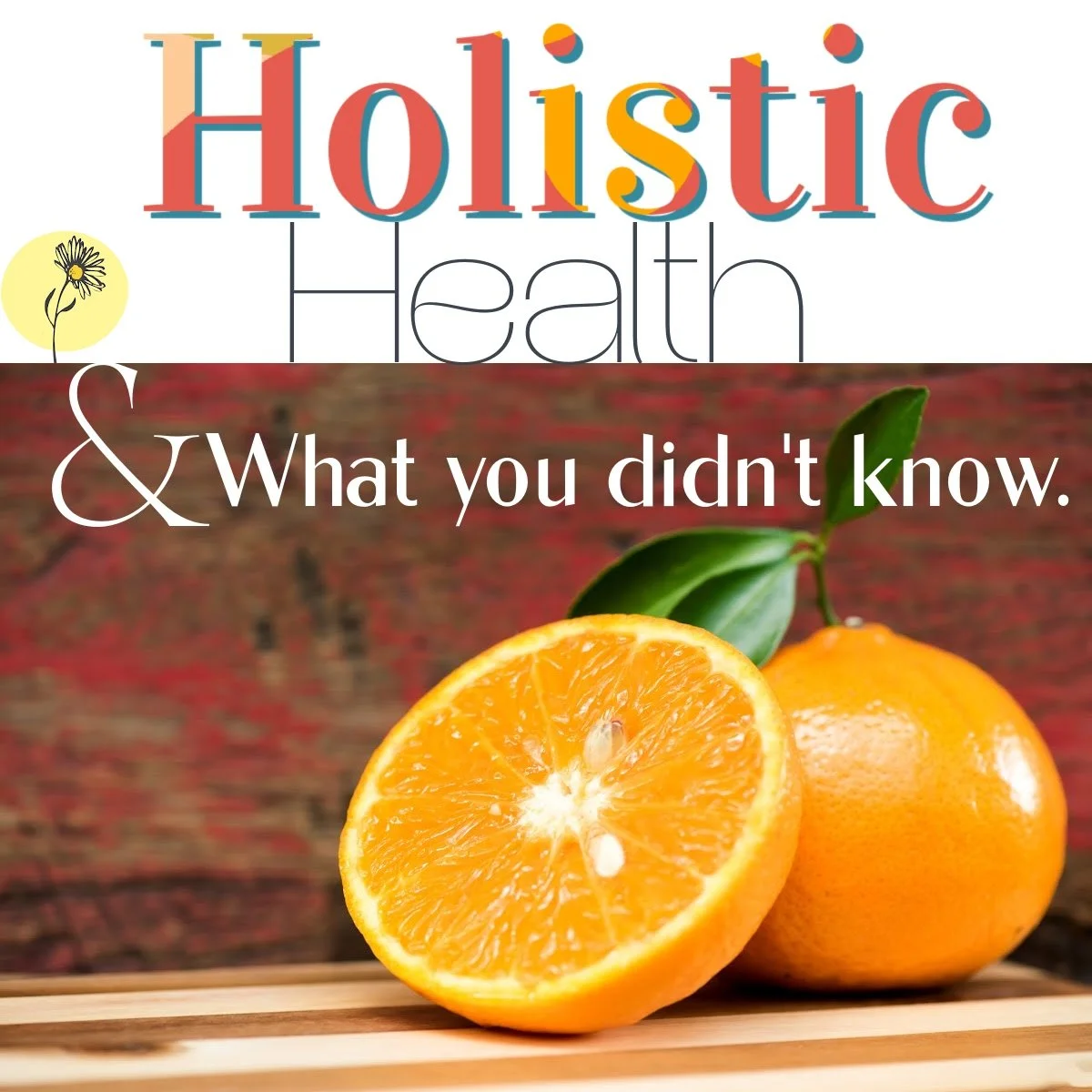 Holistic Health - What You Didn’t Know — Healthy Life Transformations