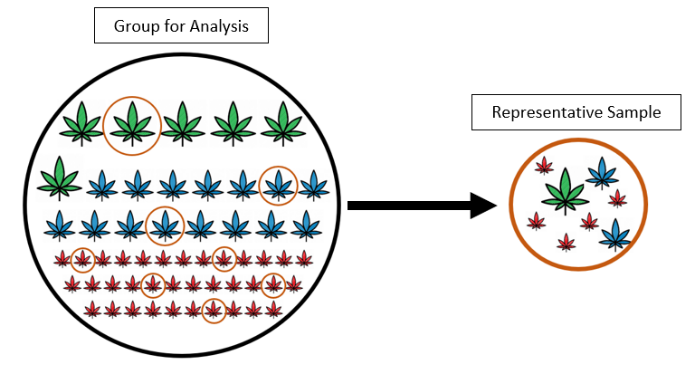 Submitting a Sample — Green Analytics Virginia