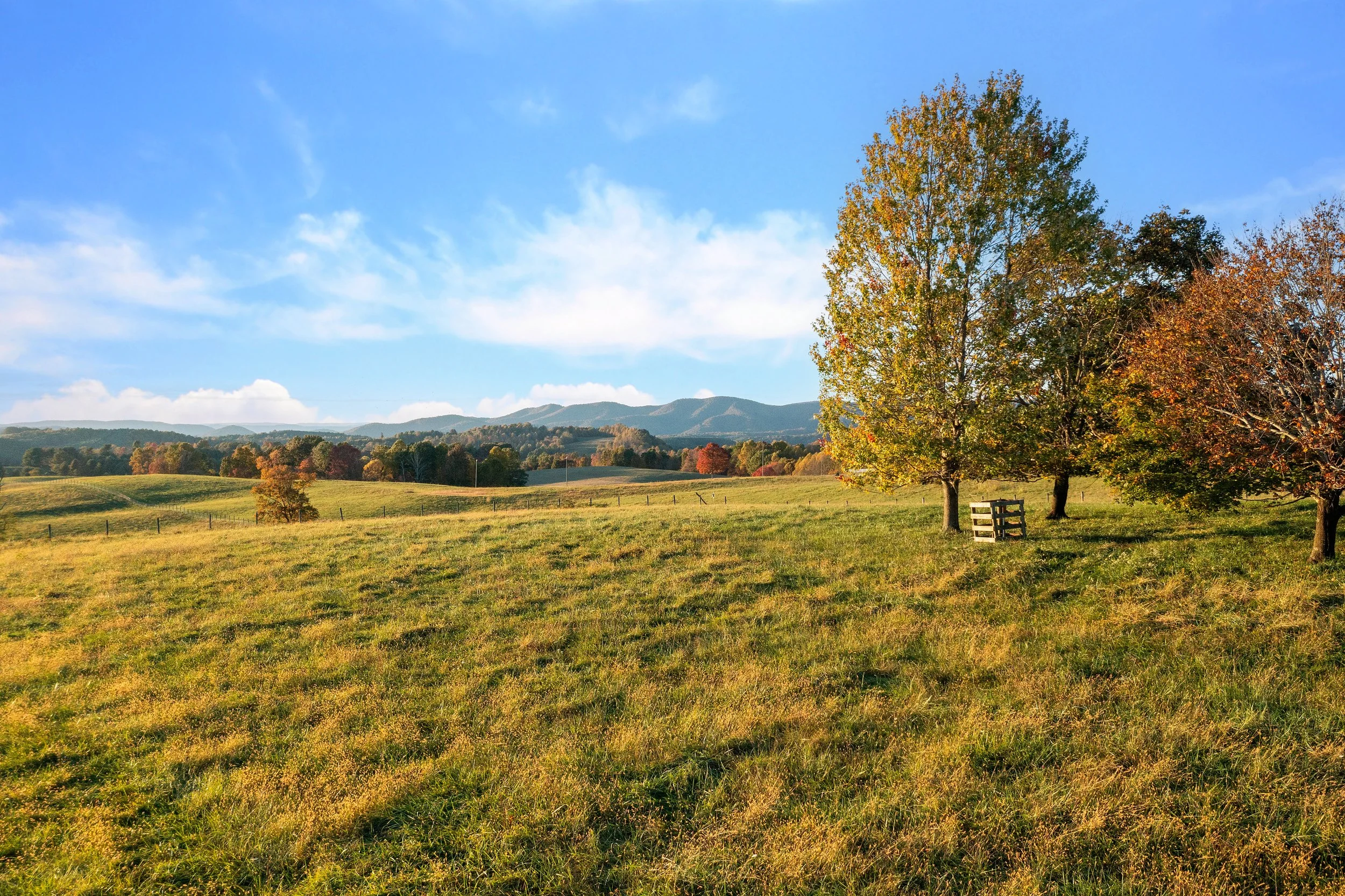 Bond Horse Farm 55 AC — NEW RIVER VALLEY LAND SALES