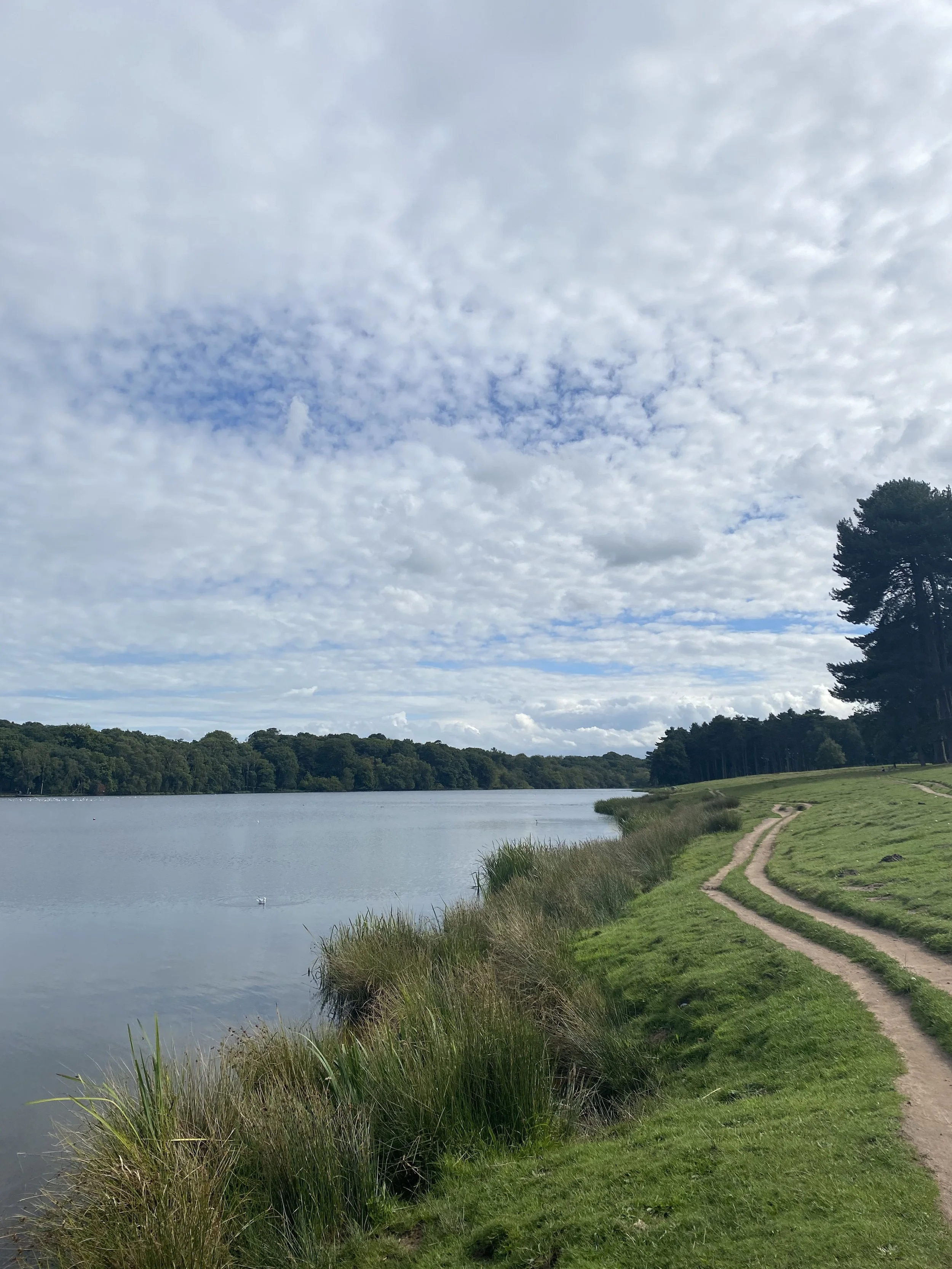 Top Nine Family Walks in Cheshire — My Mountains and Me