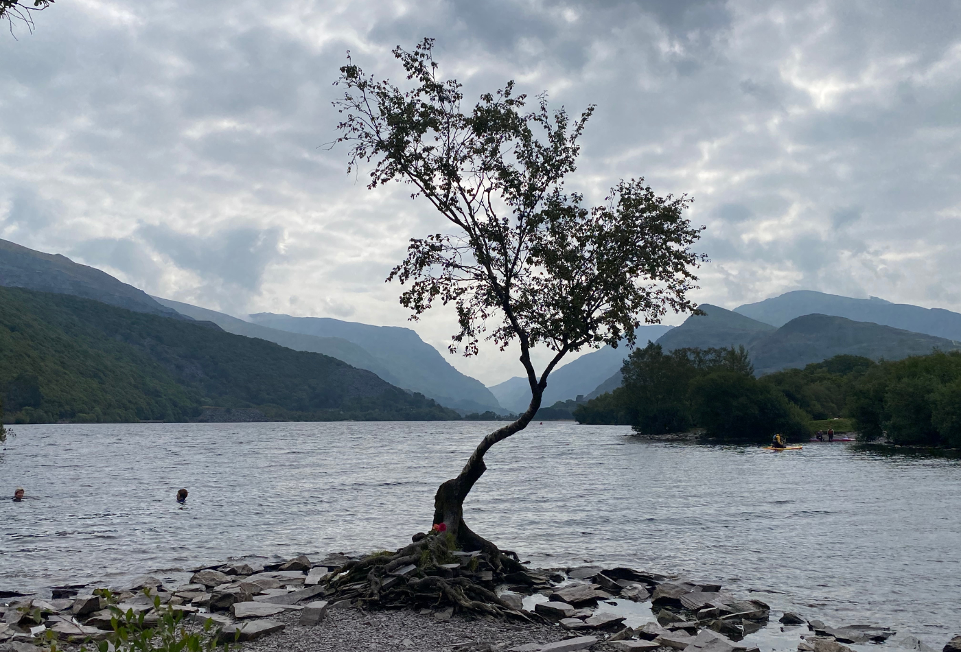 The Ultimate Guide to The Llyn Padarn Walk — My Mountains and Me