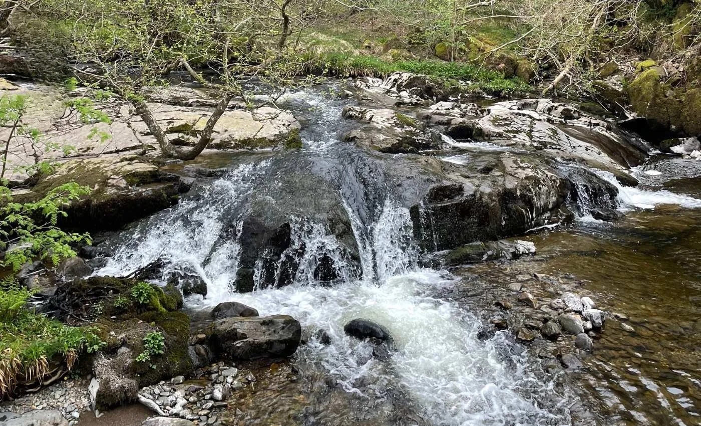 Aira Force Waterfall Walk: A Complete Guide — My Mountains and Me