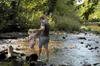 Alyn Waters Country Park | Family Guide — My Mountains and Me